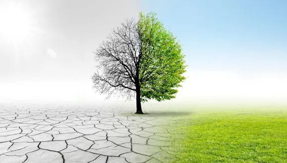 Online Open Day | MA in Social and Policy Aspects of Climate Change ...